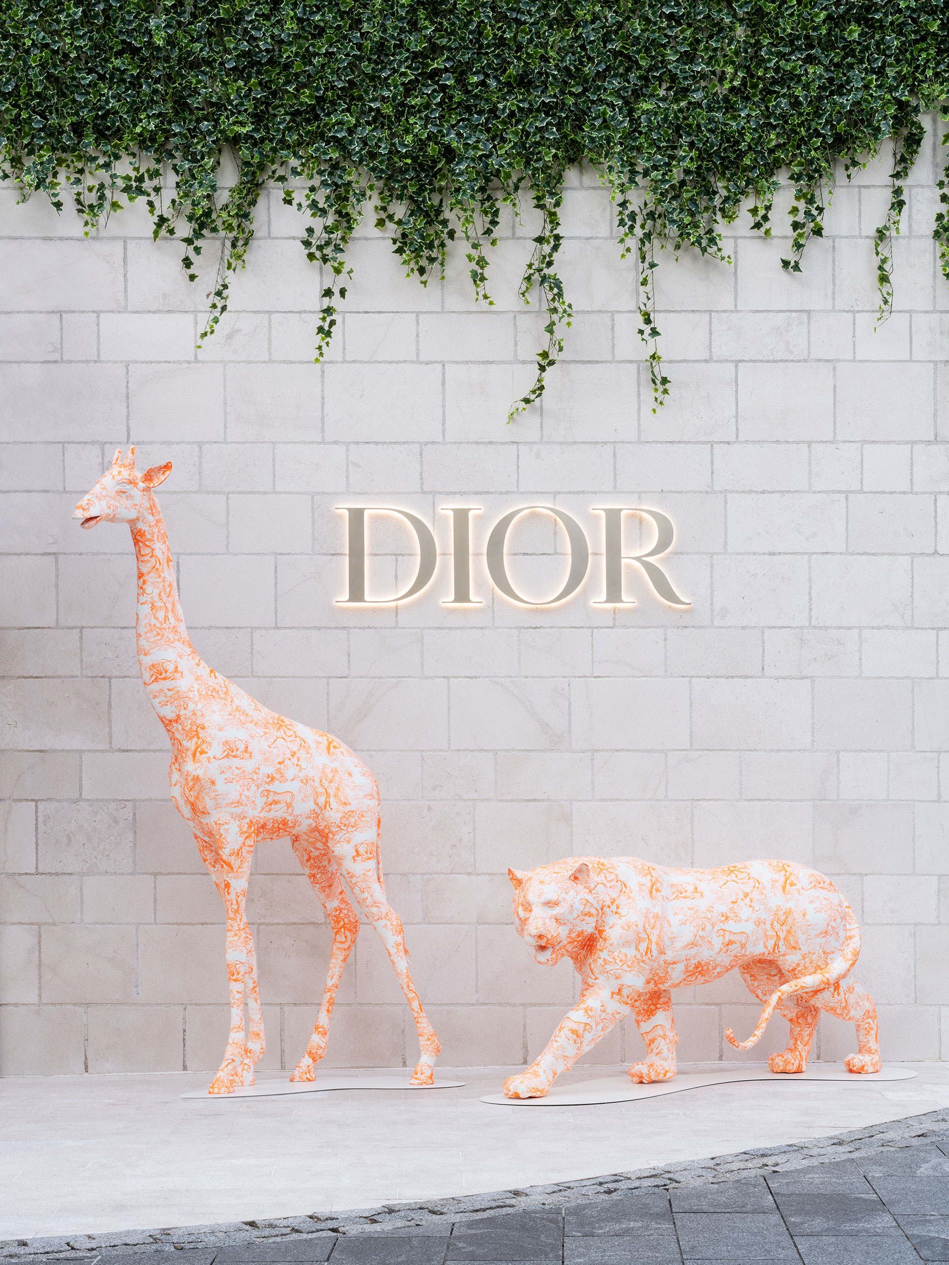 Marco Cappelletti Dior – Pop-up Store – Porto Montenegro | www ...